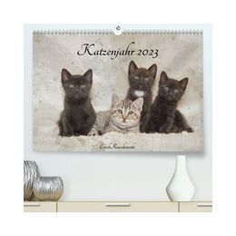 Calvendo Wandkalender Katzenjahr 2023 (Premium