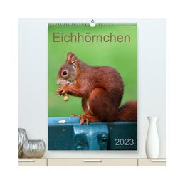 Calvendo Wandkalender Eichhörnchen (Premium