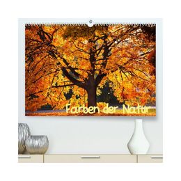 Calvendo Wandkalender Farben der Natur (Premium