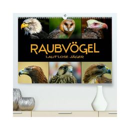 Calvendo Wandkalender Raubvögel