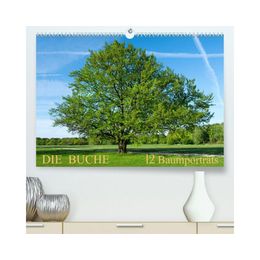 Calvendo Wandkalender Die Buche: 12 Baumporträts (Premium