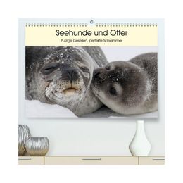 Calvendo Wandkalender Seehunde und Otter. Putzige Gesellen