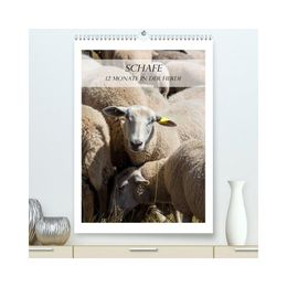 Calvendo Wandkalender Schafe