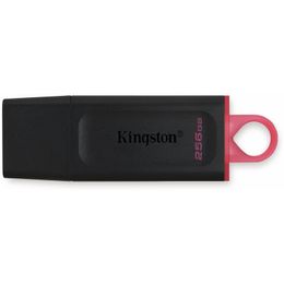 Kingston USB-Stick DataTraveler Exodia, USB 3.2, 256 GB