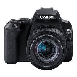 Canon EOS 250D Kit schwarz + EF-S 18-55 IS STM