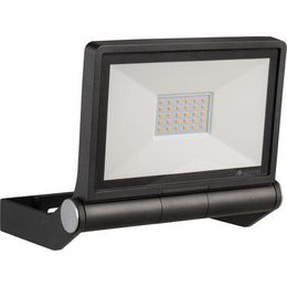 Steinel XLED ONE ANT LED-Strahler