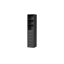 Regal Multischrank-System - grau - 40 cm - 185 cm - 40 cm - Sconto