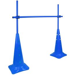 SPORTIKEL24 Agility-Hürde Kegel 50 Hürdenset mit Stangen 100 cm Farbe Blau