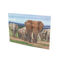 Cornelißen Postkarte 3D Postkarte Elefanten Familie