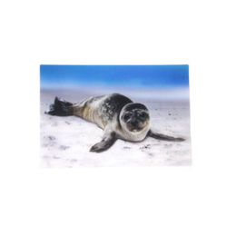 Cornelißen Postkarte 3D Postkarte Seehund