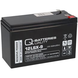 Q-Batteries Q-Batteries 12LSX-9 12V 8