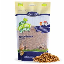 LYRA PET - 1 kg ® Mehlwürmer getrocknet