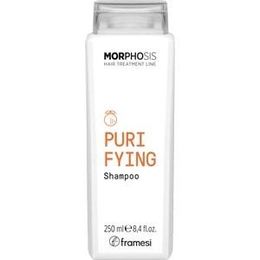 Framesi Kollektion Morphosis Purifying Shampoo