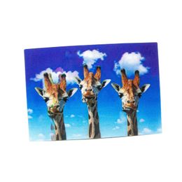 Cornelißen Postkarte 3D Postkarte Giraffen