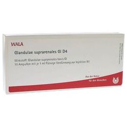 Dr. Hauschka Glandulae Suprarenales GL D 4 Ampullen 10X1 ml