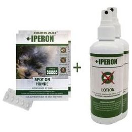 LYRA PET IPERON® 10 x 5 x 1 ml SPOT-ON kleiner Hund & 10 x 200 ml Lotion im Set