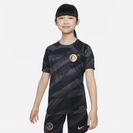 Chelsea FC 2023/24 Stadium Goalkeeper Nike Dri-FIT Fußball-Kurzarmtrikot für ältere Kinder - Grau