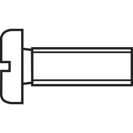 888684 Zylinderschrauben M3 6 mm Schlitz din 84 Stahl verzinkt 1 St. - Toolcraft