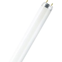 Osram - Leuchtstoffröhre eek: g (a - g) G13 18 w Warmweiß Röhrenform (ø x l) 26 mm x 604 mm 1 St.