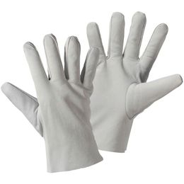 Leipold+dohle Gmbh - l+d worky Nappa 1700-10 Nappaleder Arbeitshandschuh Größe (Handschuhe): 10, xl en 388 cat ii 1 Paa