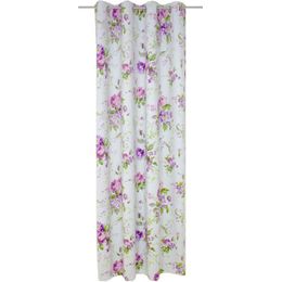 Vorhang Montrose, WIRTH, Ösen (1 St), verdunkelnd, lila|rosa