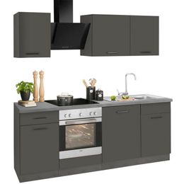Wiho-Küchen wiho Küchen Küchenzeile Esbo, mit E-Geräten, Breite 220 cm, grau