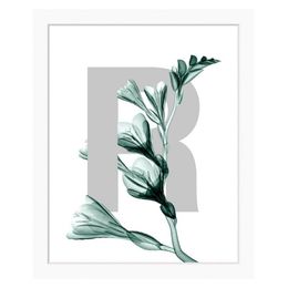 queence Bild R-Flower, Buchstaben, Blätter, gerahmt, Blume, grau|grün