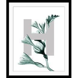 queence Bild H-Flower, Buchstaben, Blätter, gerahmt, Blume, grau|grün