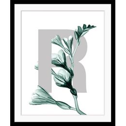 queence Bild R-Flower, Buchstaben, Blätter, gerahmt, Blume, grau|grün