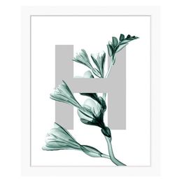 queence Bild H-Flower, Buchstaben, Blätter, gerahmt, Blume, grau|grün