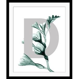 queence Bild D-Flower, Buchstaben, Blume, Blätter, gerahmt, grau|grün