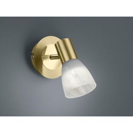 Trio LED Wandstrahler LEVISTO 1-flammig Gold Glaslampenschirm schwenkbar Höhe 19 cm