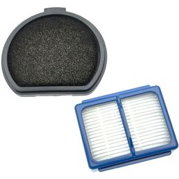 vhbw - Filter-Set kompatibel mit aeg QX9-1-ANIM Staubsauger - 2x Ersatz-Filter (Hauptfilter, Vorfilter)