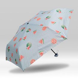 Dr. Neuser Taschenregenschirm kleiner kompakter Regenschirm ohne Automatik