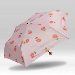 Dr. Neuser Taschenregenschirm kleiner kompakter Regenschirm ohne Automatik
