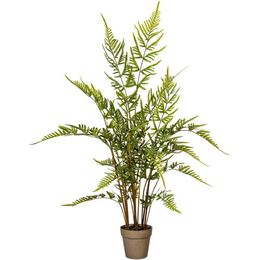 Künstliche Zimmerpflanze Rippenfarn Farn, Creativ green, Höhe 110 cm, grün