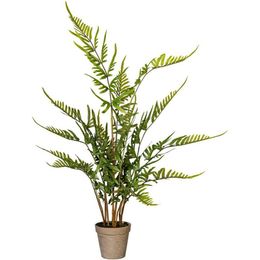 Künstliche Zimmerpflanze Rippenfarn Farn, Creativ green, Höhe 80 cm, grün