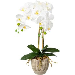 Kunstorchidee Orchidee Phalaenopsis im Keramiktopf, Creativ green, Höhe 55 cm, weiß