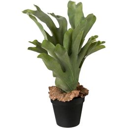 Künstliche Zimmerpflanze, Creativ green, Höhe 37 cm, grün
