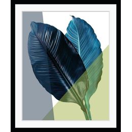 queence Bild Elisa, Blätter, Natur, Blatt, gerahmt, blau|grün