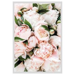 queence Bild Stefanie, Blumen, gerahmt, Rosen, grün|rosa|weiß