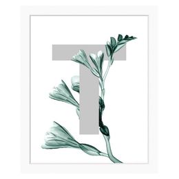 queence Bild T-Flower, Buchstaben, gerahmt, Blume, Blätter, grau|grün