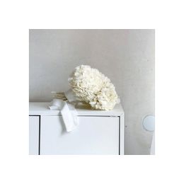 Trockenblume Hortensienzauber: Der Traumhafte Brautstrauß aus Trockenblumen
