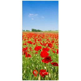 Wallario Türtapete Mohnblumenfeld- rote Blumen unter blauem Himmel
