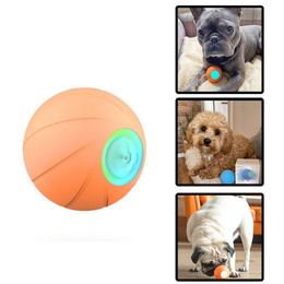 Welikera Tierball Interaktiver Spielzeugball für Hunde