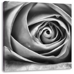 Pixxprint Leinwandbild Anmutige gelbe geschlossene Rose
