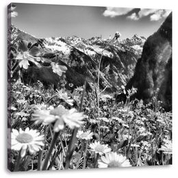 Pixxprint Leinwandbild Wunderschöne Blumen Alpenwiese