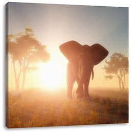 Pixxprint Leinwandbild Elefant in der Wüste