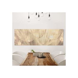 Bilderdepot24 Leinwandbild Blumen Natur Modern Pusteblumen schwarz weiss Bild auf Leinwand XXL