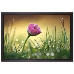 Pixxprint Leinwandbild rosa Gänseblümchen im Gras